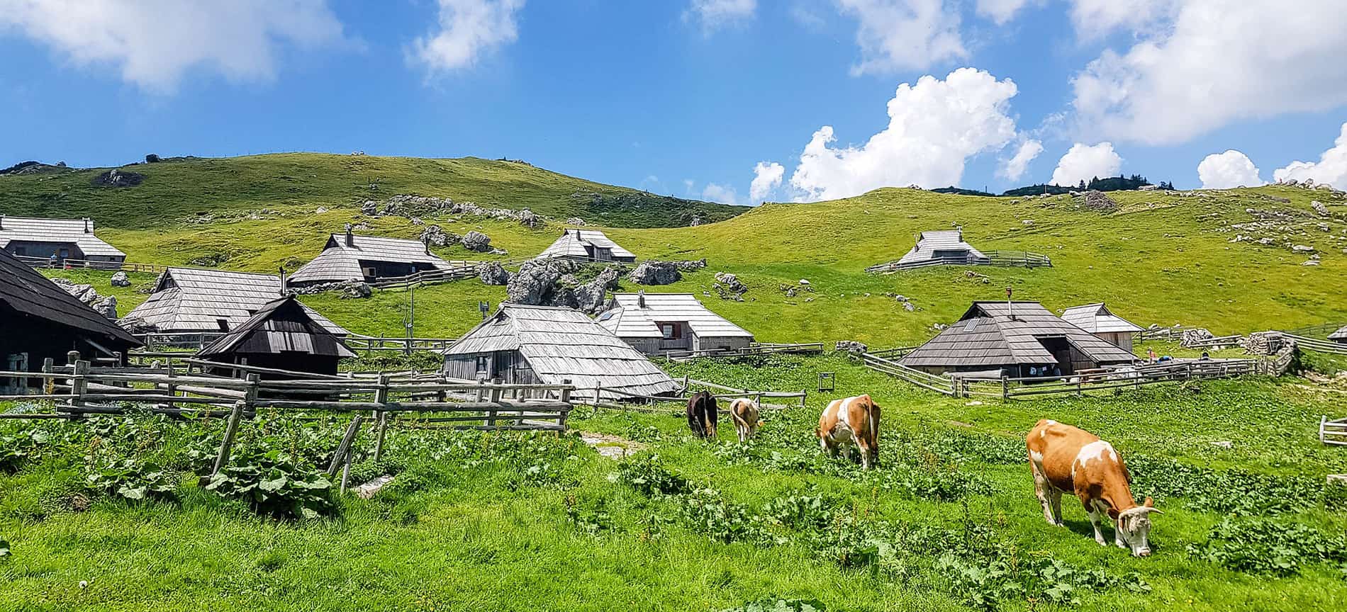 Velika Planina : le plus beau plateau alpin d'Europe - Slovénie Voyage